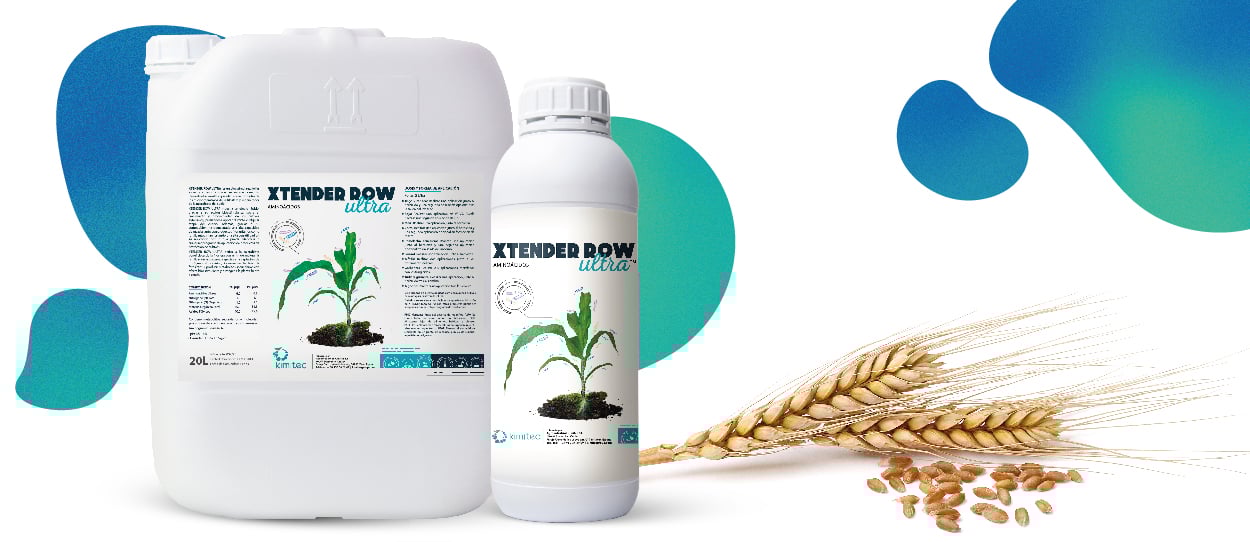 Mejora el rendimiento y calidad de tus cultivos extensivos con suelos sanos